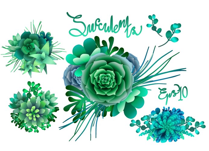Succulent Vector Images (over 46,000)