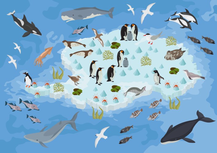 Antarctica Flora and Fauna Map Royalty Free Vector Image