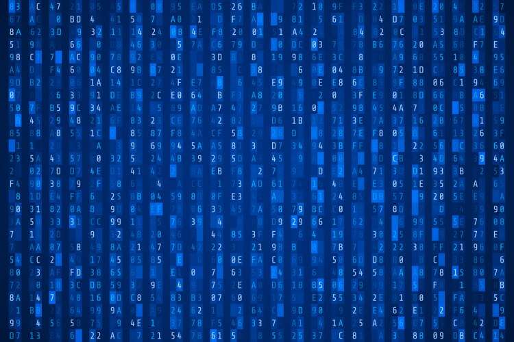 Decode Vector Images (over 3,000)
