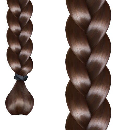 Braid Vector Images (over 21,000)