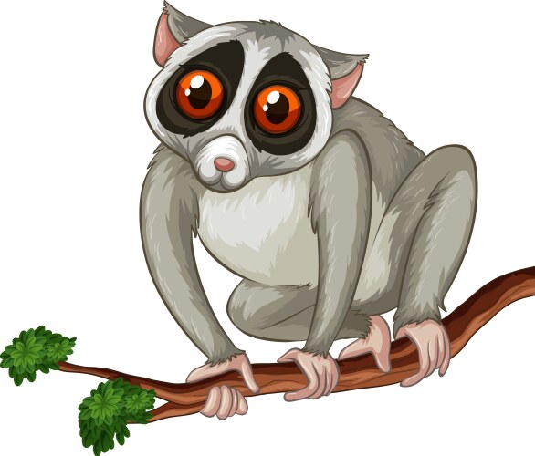 Cartoon slow loris on the branch Royalty Free Vector Image