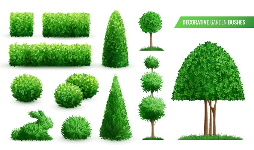Bushes Vector Images (over 94,000)