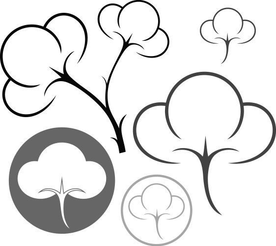 Cotton Royalty Free Vector Image - VectorStock