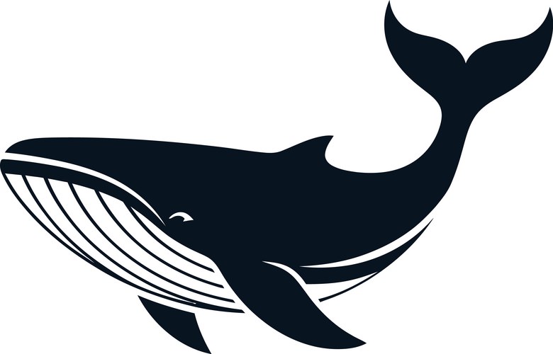 Sperm Whale Silhouette – Royalty-Free Vector | VectorStock