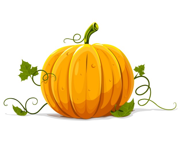 Pumpkin Vector Images (over 220,000)