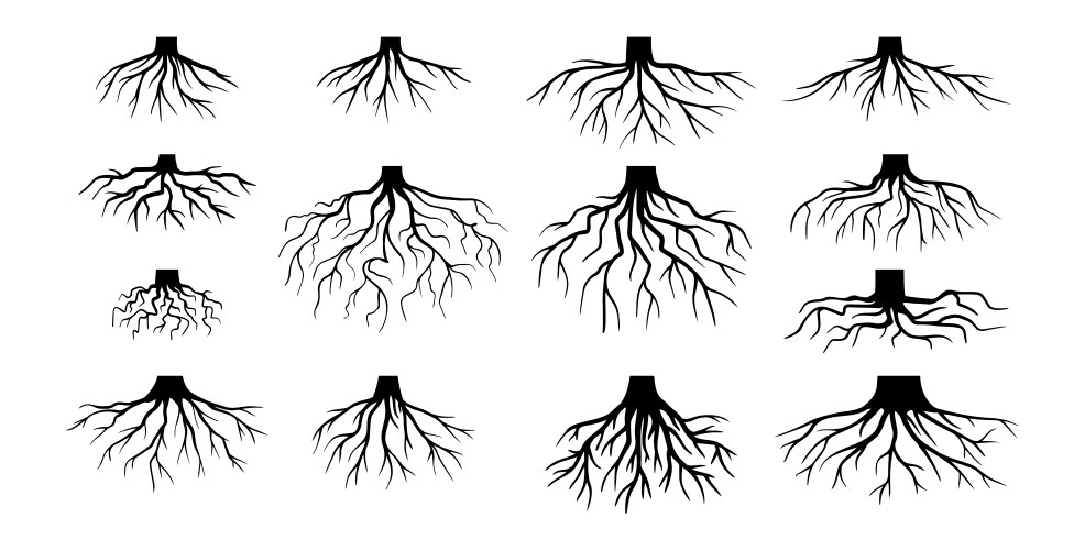 Roots Vector Images (over 91,000)