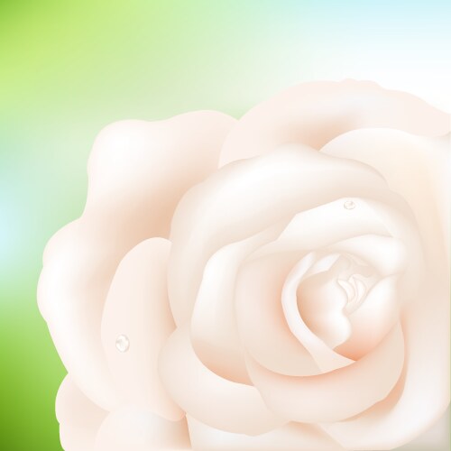 Rose Garden Vector Images (over 76,000)