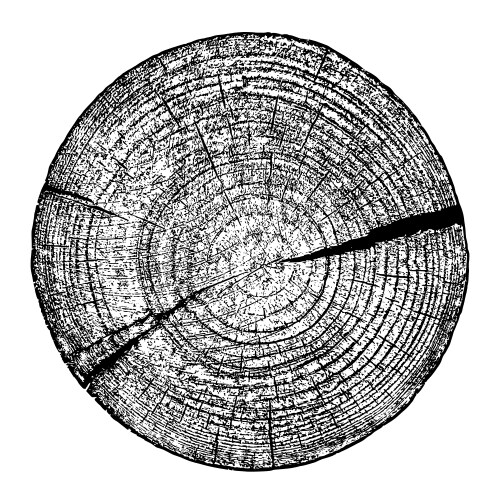 Wood log Royalty Free Vector Image - VectorStock