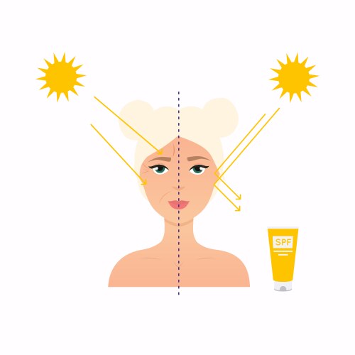 Sunscreen Vector Images (over 16,000)