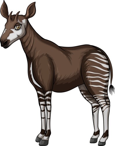 Okapi Vector Images (over 250)