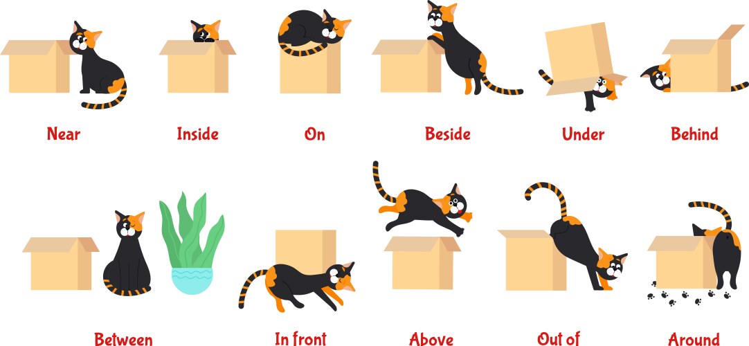 Images Of Over Preposition