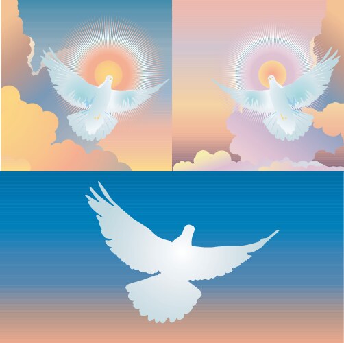 Biblical silhouette pentecost holy spirit ok Vector Image