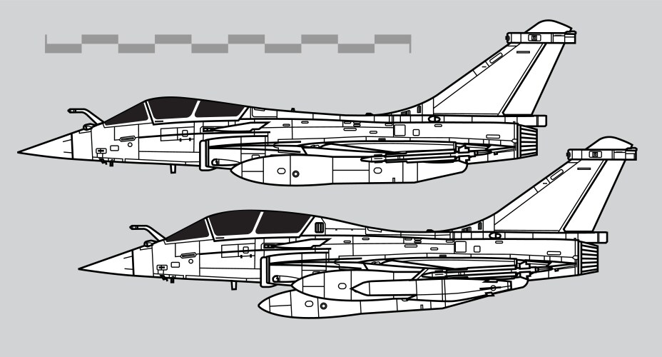 Dassault mirage 2000 Royalty Free Vector Image