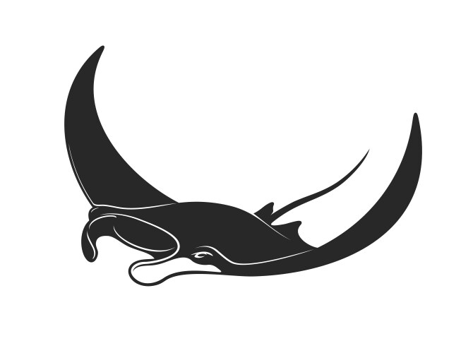 Manta Ray Vector Images (over 1,700)