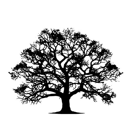 Vintage oak tree silhouette isolated Royalty Free Vector