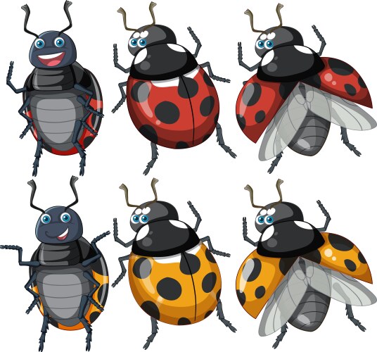 A red bug Royalty Free Vector Image - VectorStock