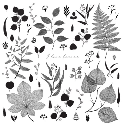 Big set of branch and flowers fall spring Vector Image