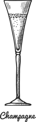 Champagne Glass Vector Images (over 79,000)