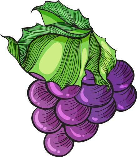 Grape Vector Images (over 87,000)