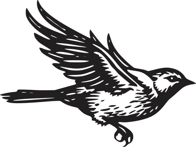 Sparrow Vector Images (over 11,000)