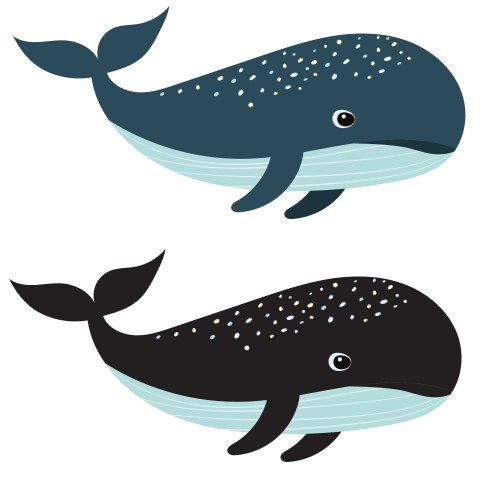Whale Shark Cartoon Vector Images (over 4,000)
