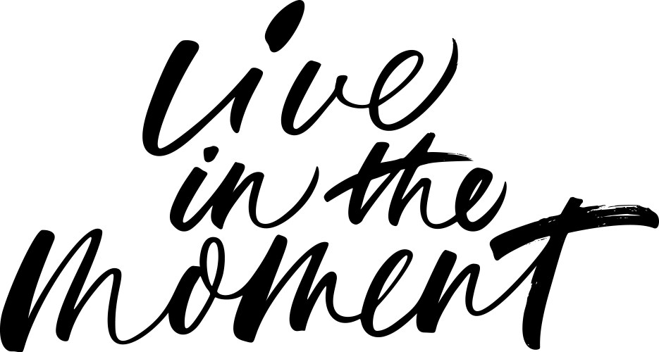 Live Now Vector Images (over 1,800)