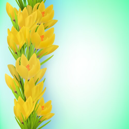 Yellow Flower Border Vector Images (over 15,000)