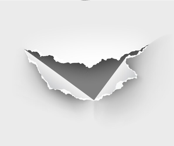 Torn paper with lines Royalty Free Vector Image