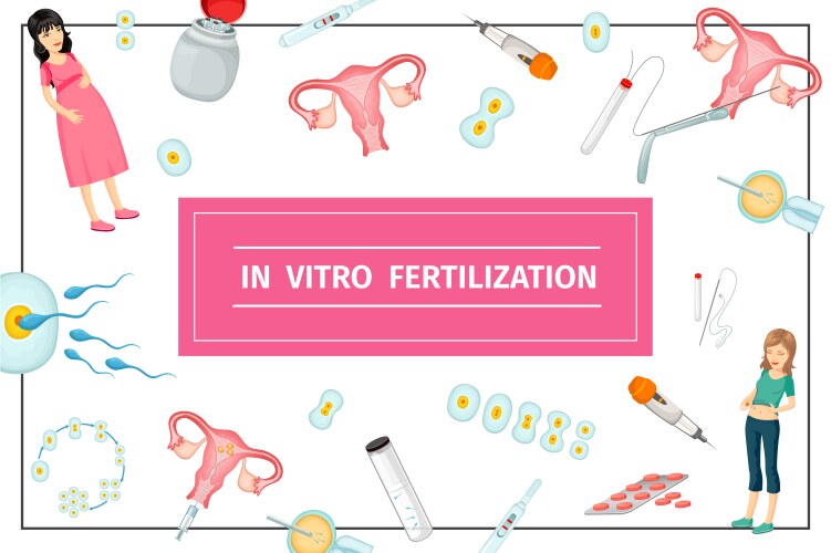 Egg fertilization process flat template Royalty Free Vector