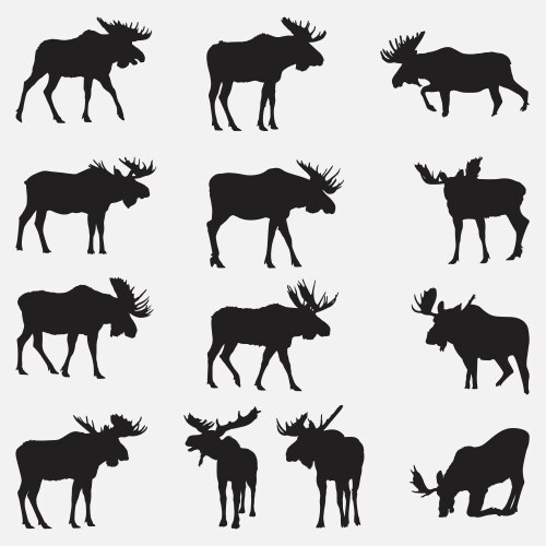 Moose Black and White Vector Images (over 6,100)