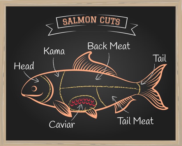 Cuts of fish guide Royalty Free Vector Image - VectorStock