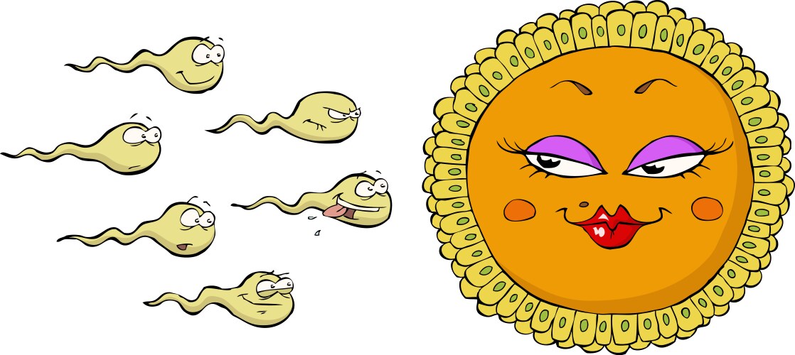 Sperm Cartoon Vector Images (over 1,900)