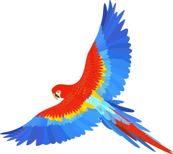 Parrots ara macao template Royalty Free Vector Image