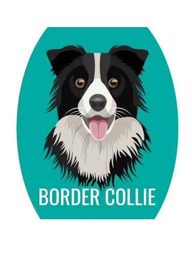 Border Collie Vector Images (over 1,700)