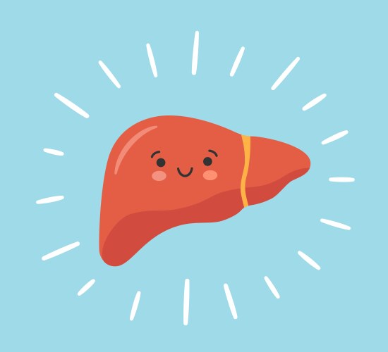 Liver Cartoon Vector Images (over 5,600)