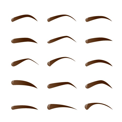 Women eyebrows shapes set Royalty Free Vector Image