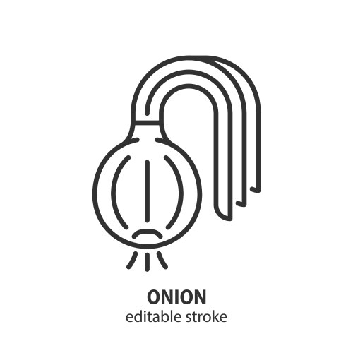 Fresh onion bulb cartoon Royalty Free Vector Image