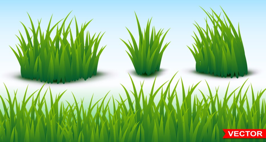 Cartoon Grass Texture Vector Images (over 5,600)