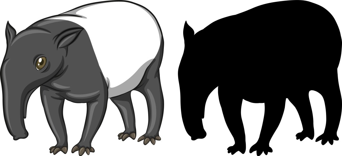 Cute malayan tapir standing as asian animal Vector Image