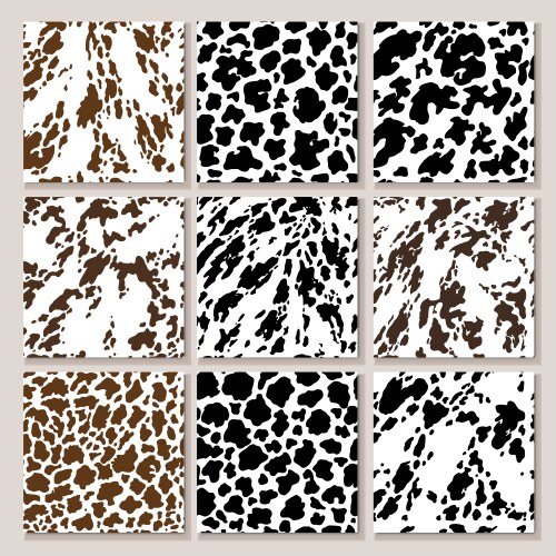 Animal background cow hide holstein cattle Vector Image