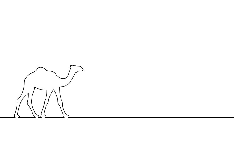Camel Outline Vector Images (over 3,700)