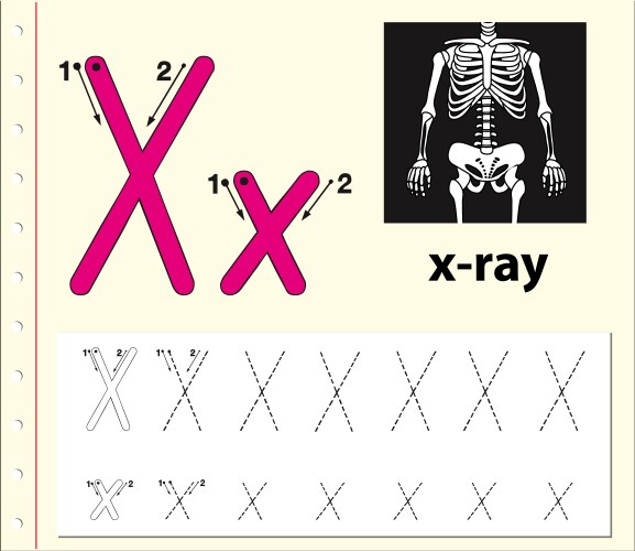 Flashcard letter x is for x-ray Royalty Free Vector Image