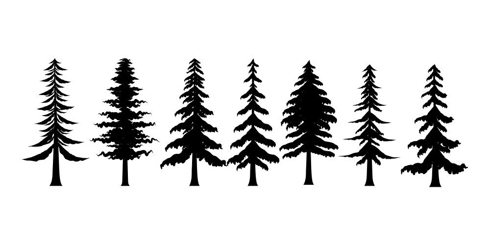 Pine trees collection Royalty Free Vector Image