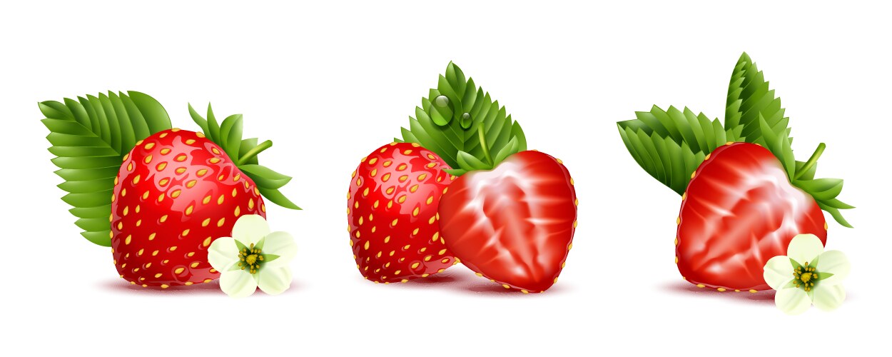 Whole and slice of strawberry realistic 3d Vector Image