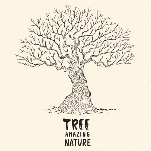 Amazing Vector Images (over 40,000)