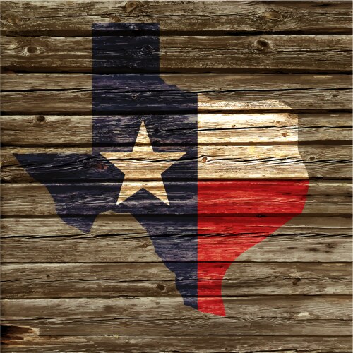 Texas tx state flag map Royalty Free Vector Image