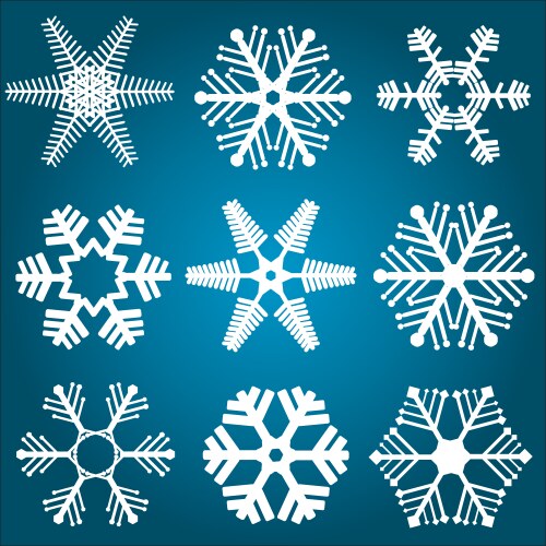 Different snowflakes Royalty Free Vector Image