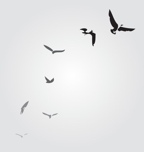 Set of seagulls silhouettes Royalty Free Vector Image