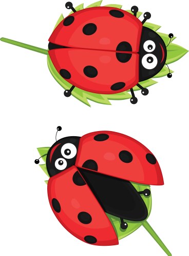 Cute ladybug cartoon Royalty Free Vector Image