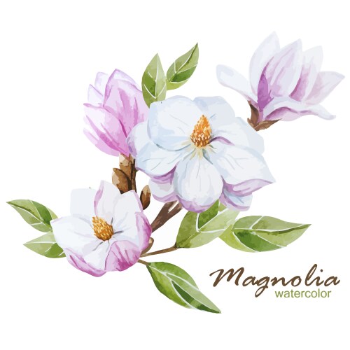 Magnolia Vector Images (over 7,700)